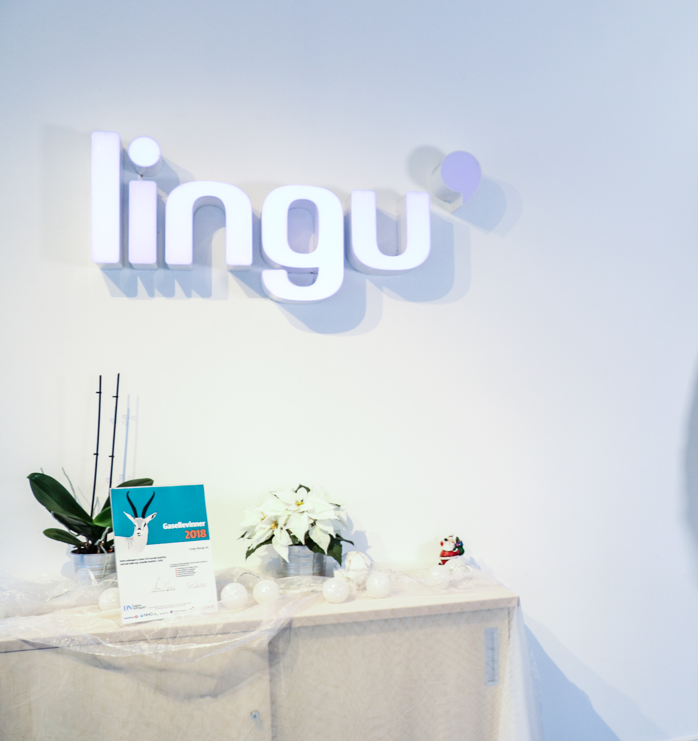 Quality Management System | Lingu